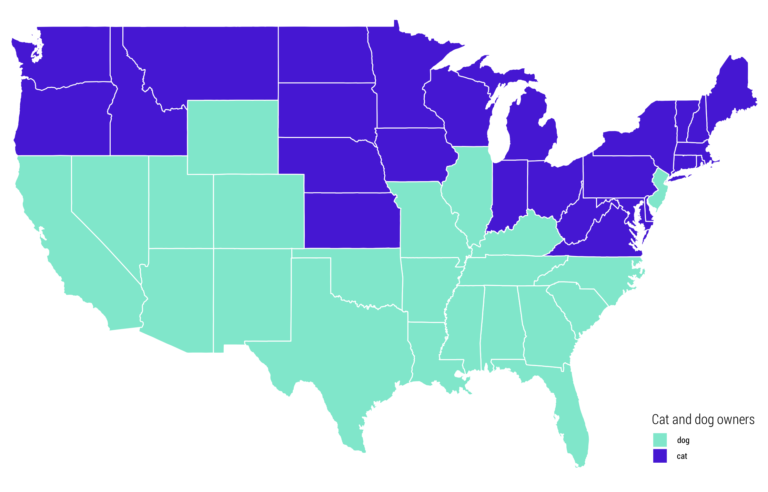 Cat People vs. Dog People What’s the Difference?