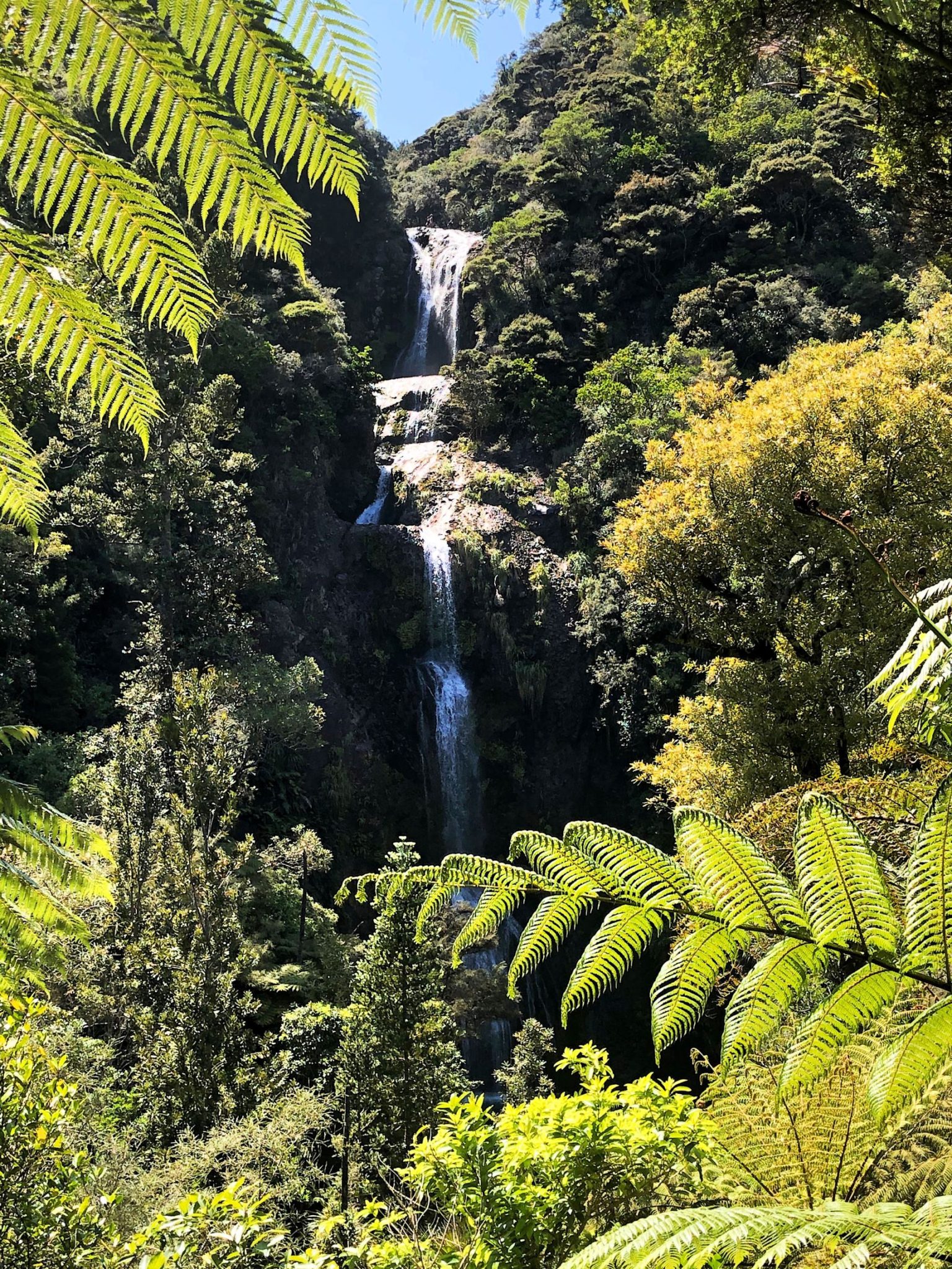 New-Zealand-KiteKite-Falls | Banjo and Layla's Lifestyle and Travel