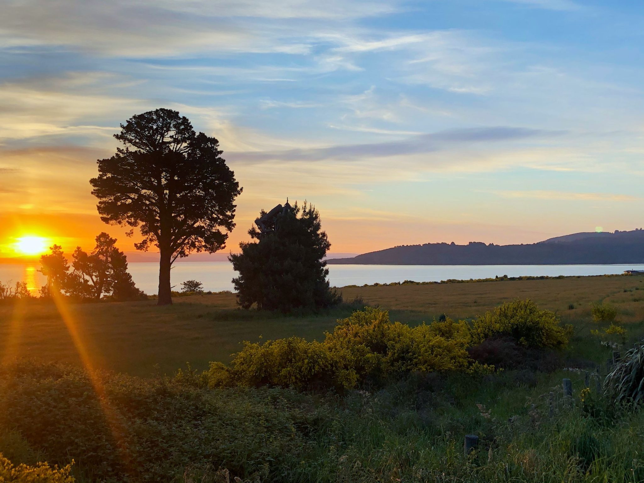 The Beautiful Scenery of New Zealand