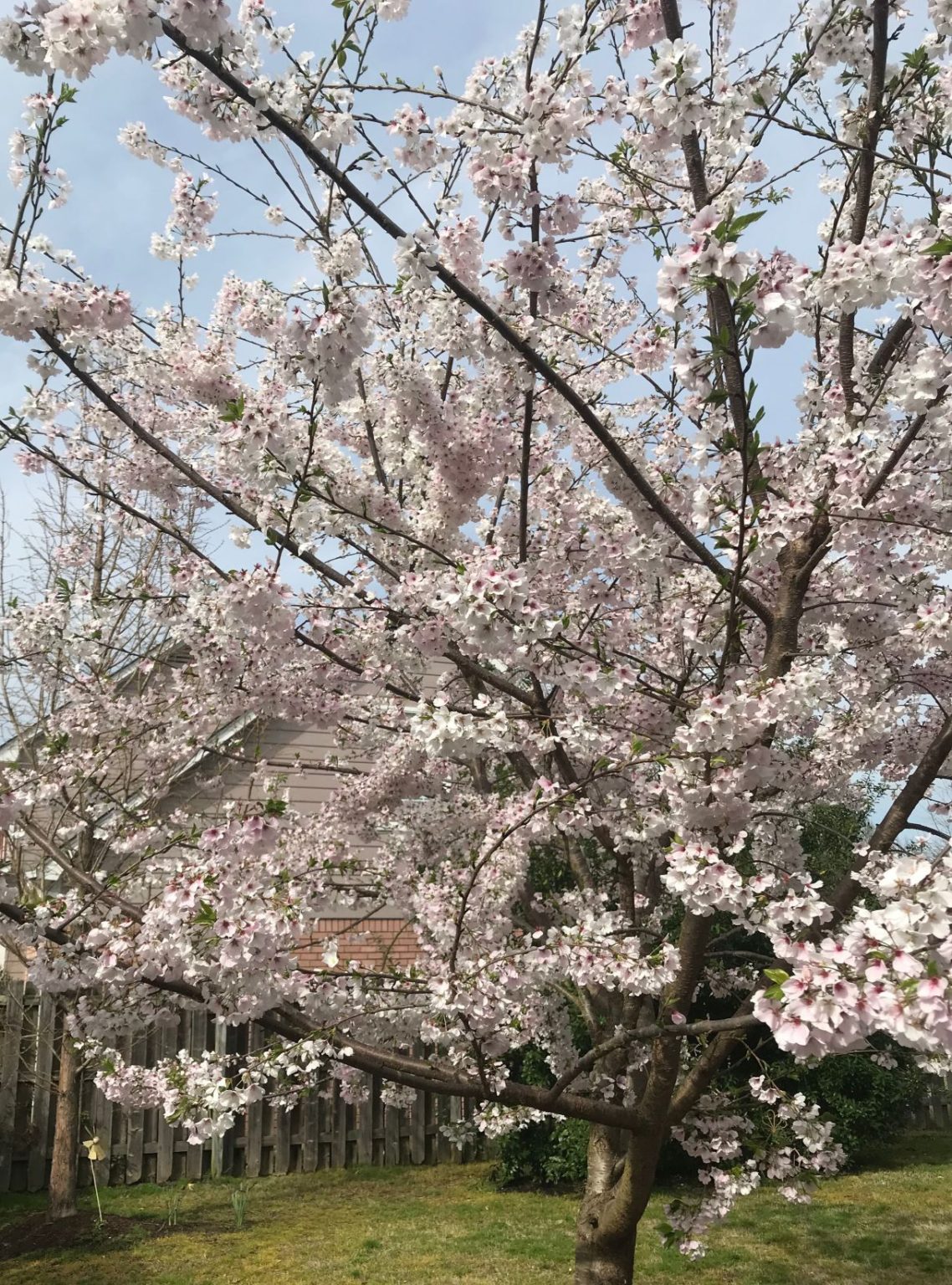 How to Satisfy Wanderlust at Home Without Actually Travling