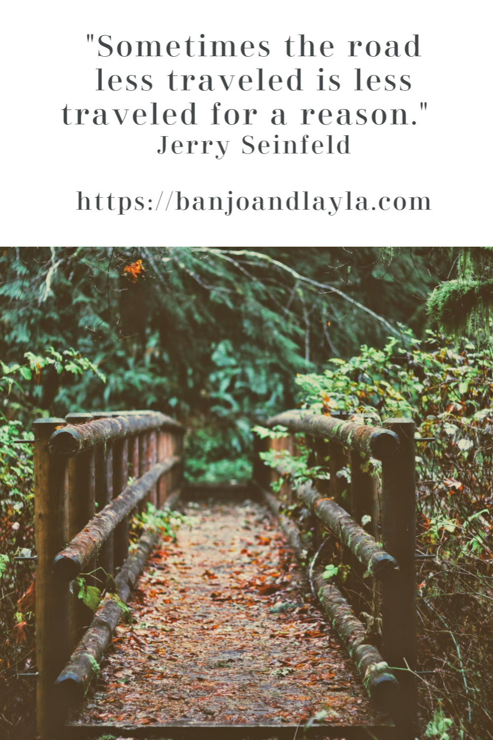 30 Funny Travel Quotes to Brighten Your Day