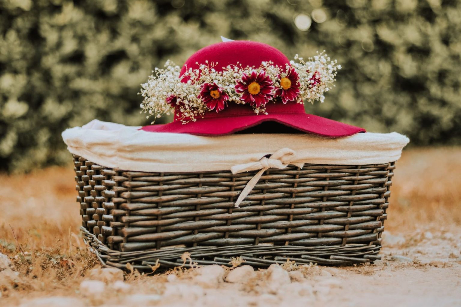 Best Tips for How to Have the Perfect Picnic