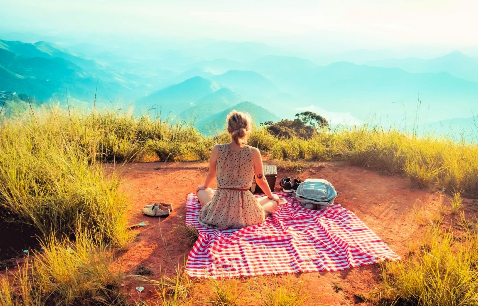 Best Tips for How to Have the Perfect Picnic