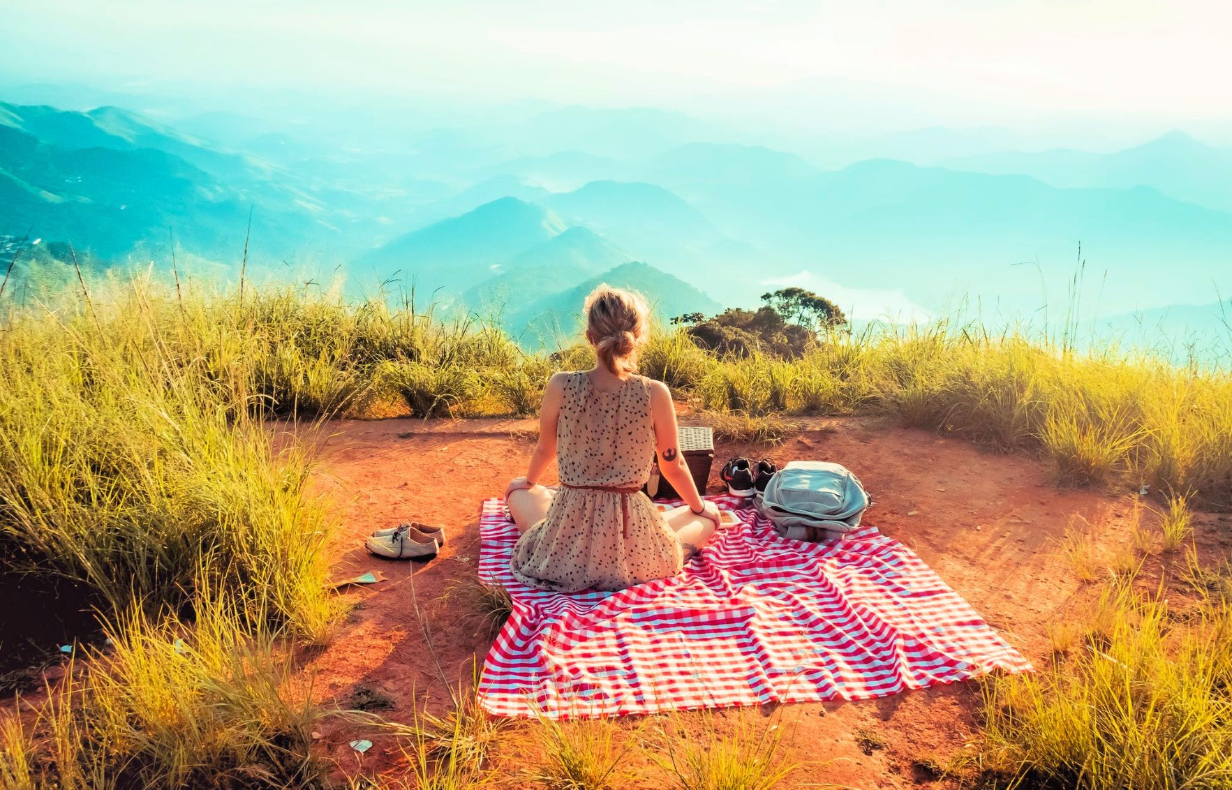 Best Tips for How to Have the Perfect Picnic